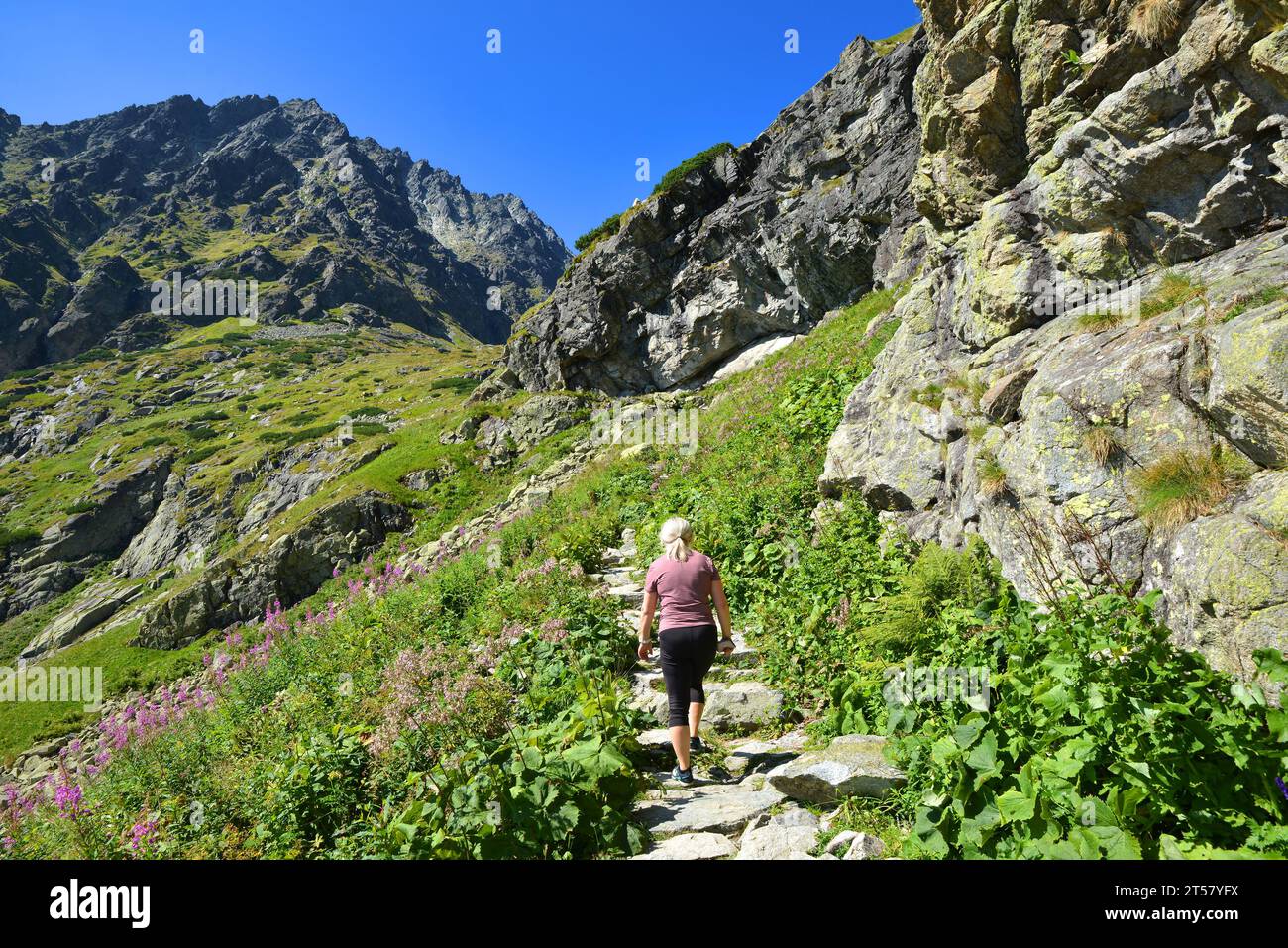 Tourist in the Velicka Valley, Vysoke Tatry (Tatra Mountains), Slovakia ...