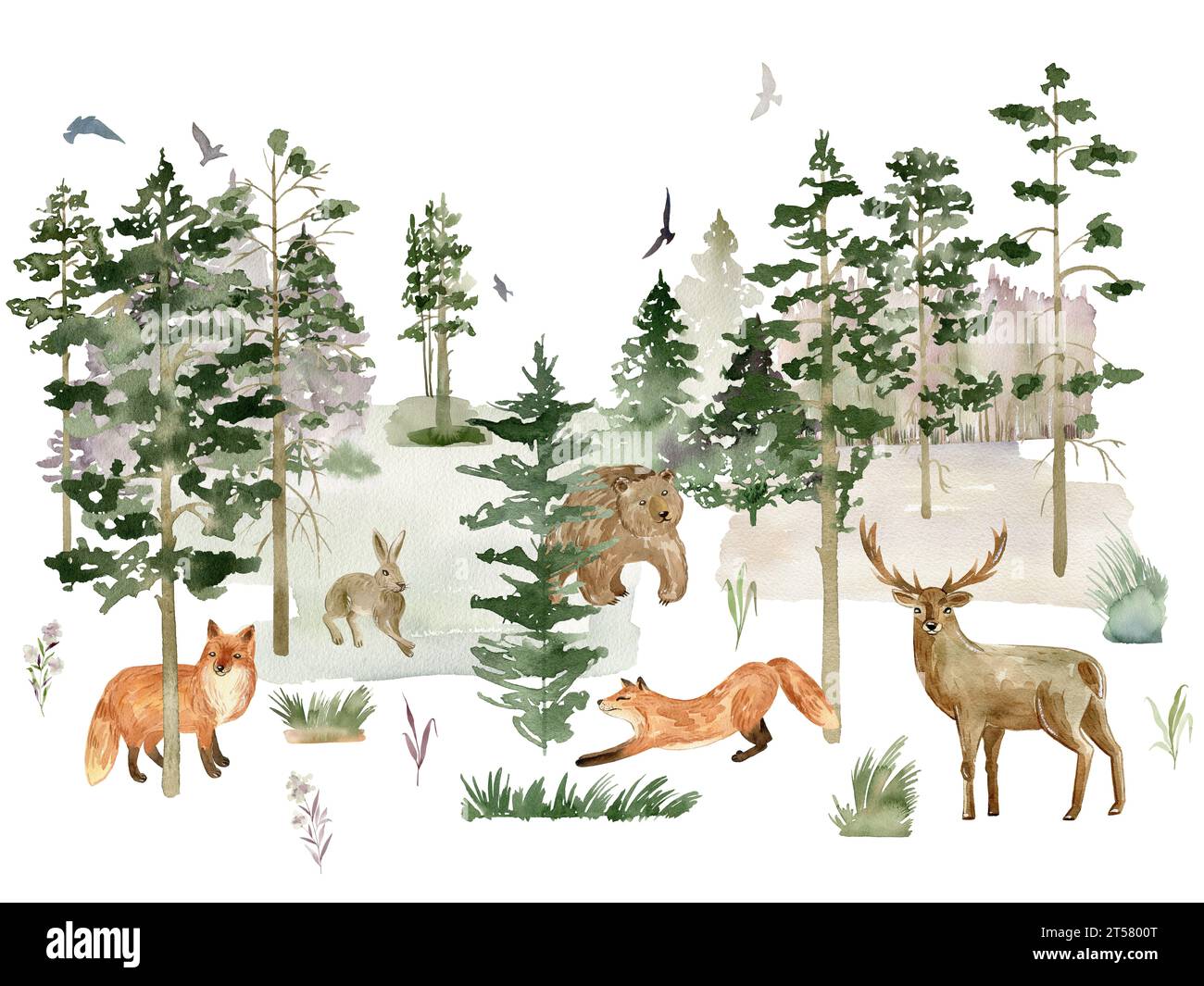 Watercolor forest with animals. Woodland composition Stock Photo - Alamy
