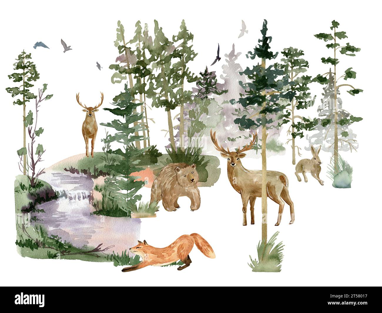 Watercolor forest with animals. Woodland composition Stock Photo - Alamy
