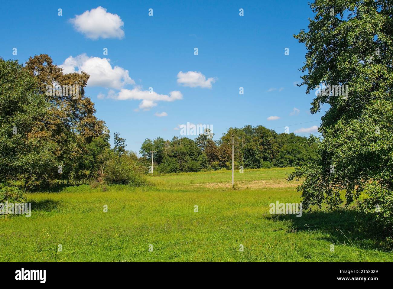 The rural summer landscape near Grabovac Banski village close to ...