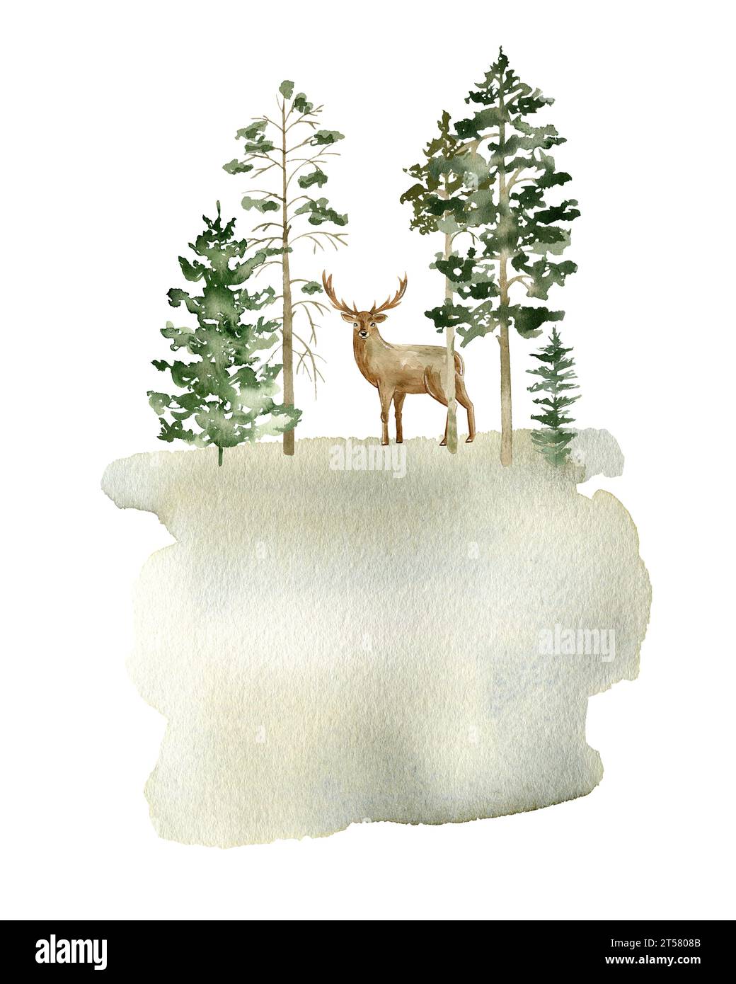 Watercolor forest with deer. Woodland composition Stock Photo - Alamy