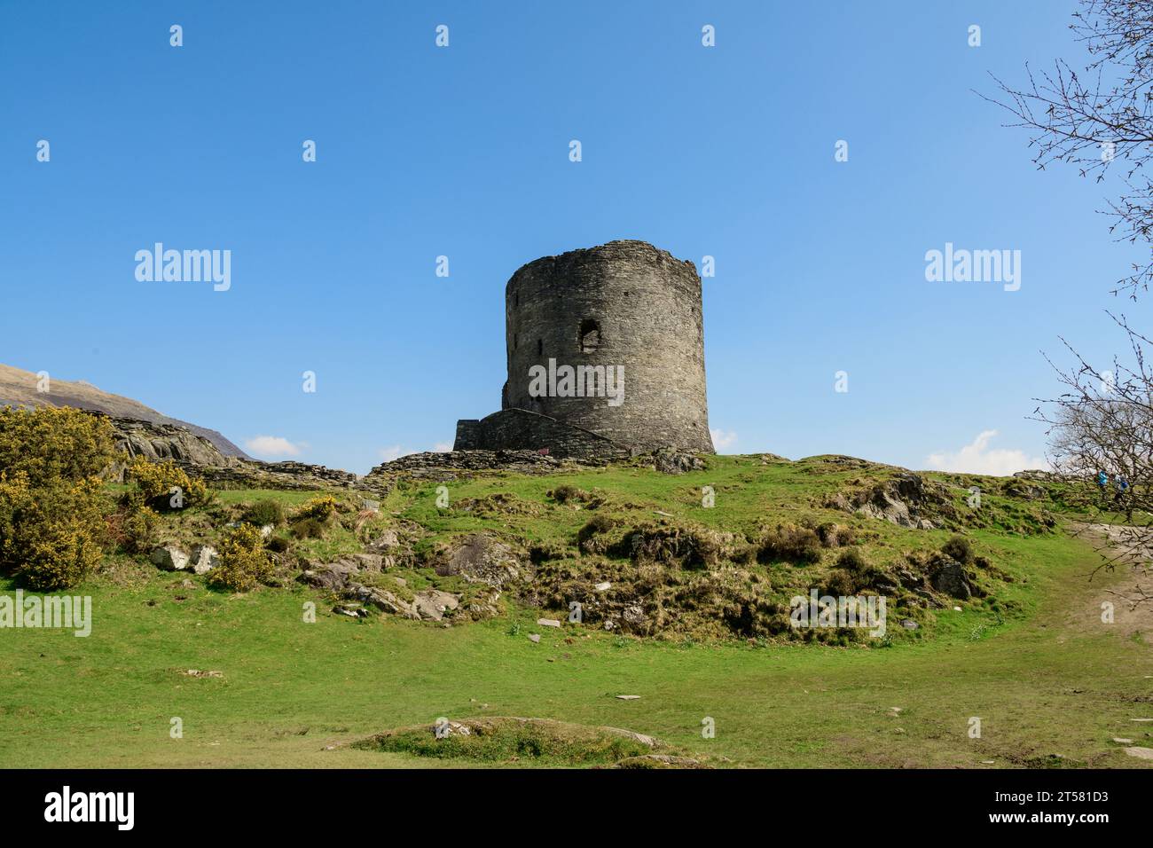 Llanberis Dolbadarn Castle 29-05-23 Stock Photo - Alamy