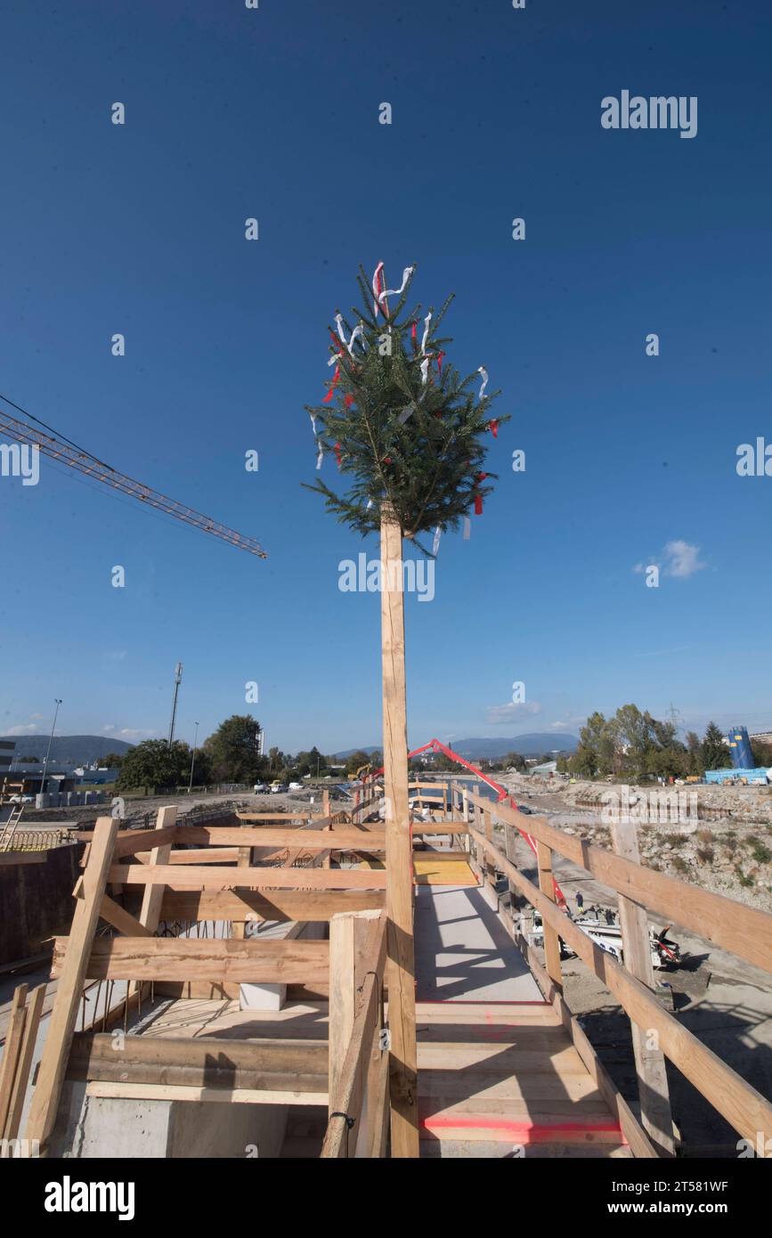 Timber Construction In Construction Industry, Building With Wood ...