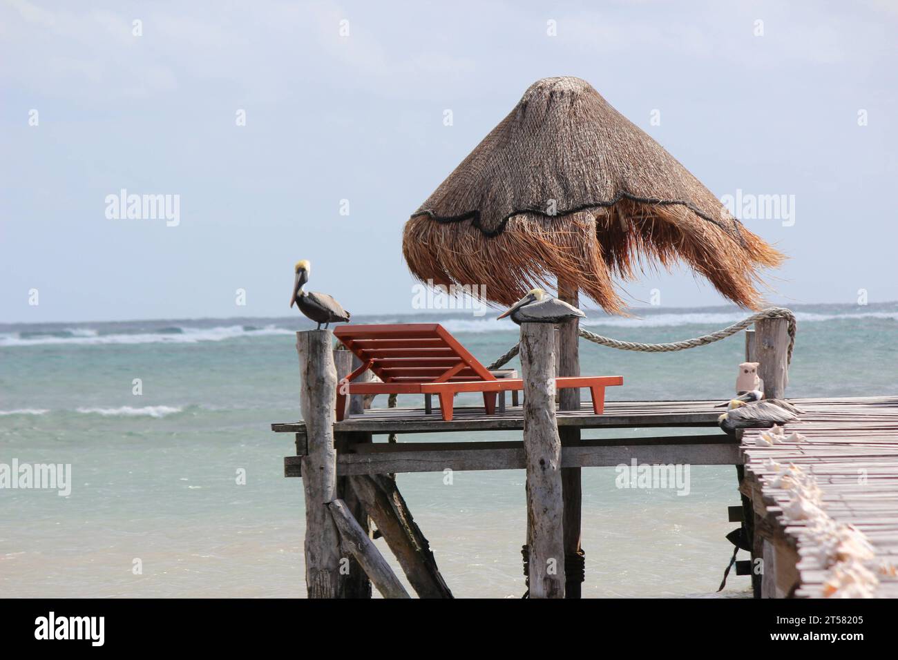 Timber Construction In Construction Industry, Building With Wood ...