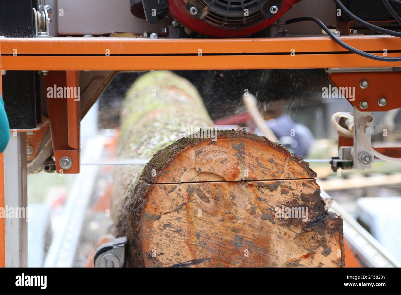 Timber Construction In Construction Industry, Building With Wood ...