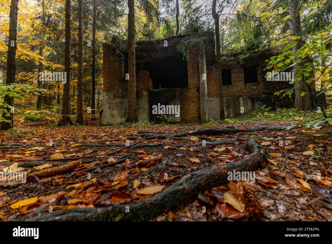 Mysterious Włodarz Adit, Riese complex in Lower Silesia. Underground ...