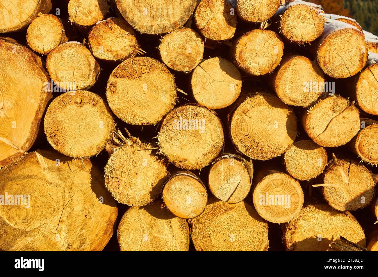 firewood natural type of fuel background horizontal picture Stock Photo ...