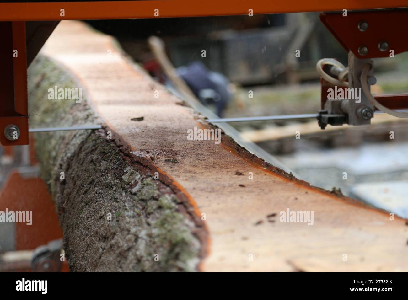 Timber Construction In Construction Industry, Building With Wood ...