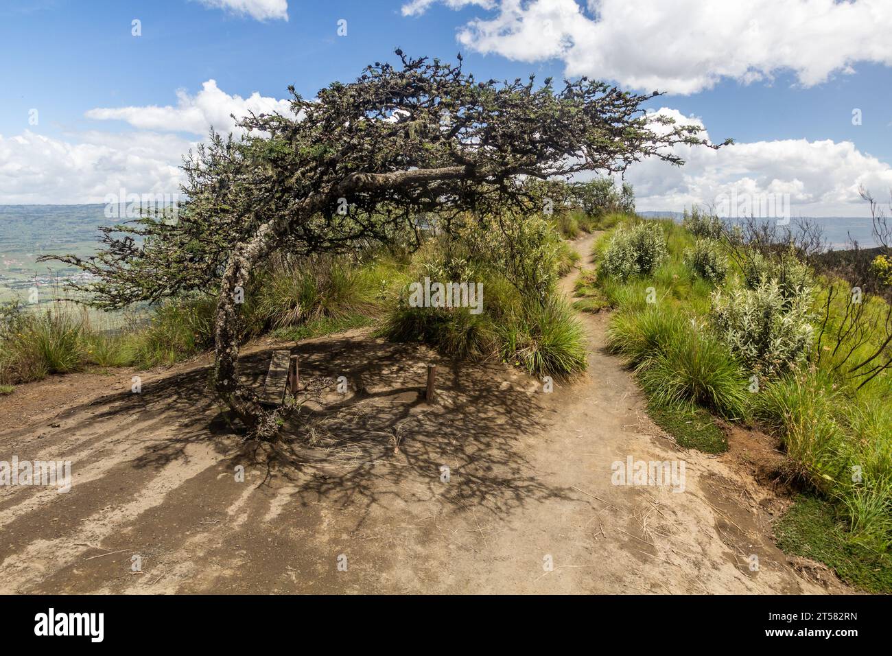 Hiking trail on the rim of Longonot volcano crater, Kenya Stock Photo ...