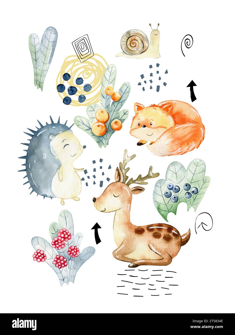 Watercolor poster with forest animals. Woodland decoration on a white ...