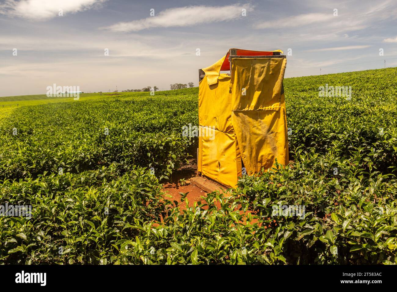 African outdoor toilet hi-res stock photography and images - Alamy