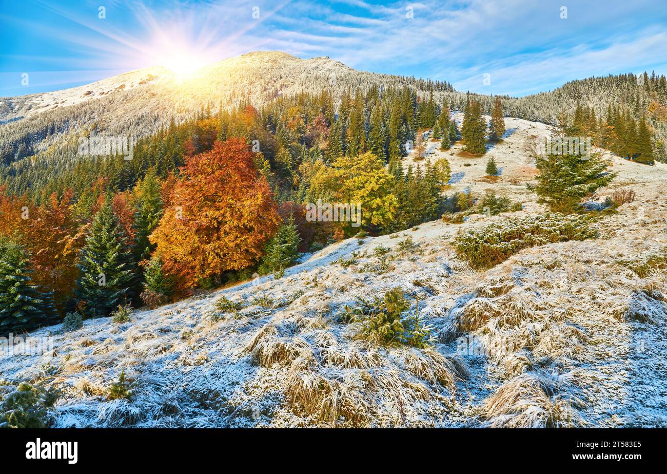 In the tranquil embrace of autumn, the mountains come alive with the ...