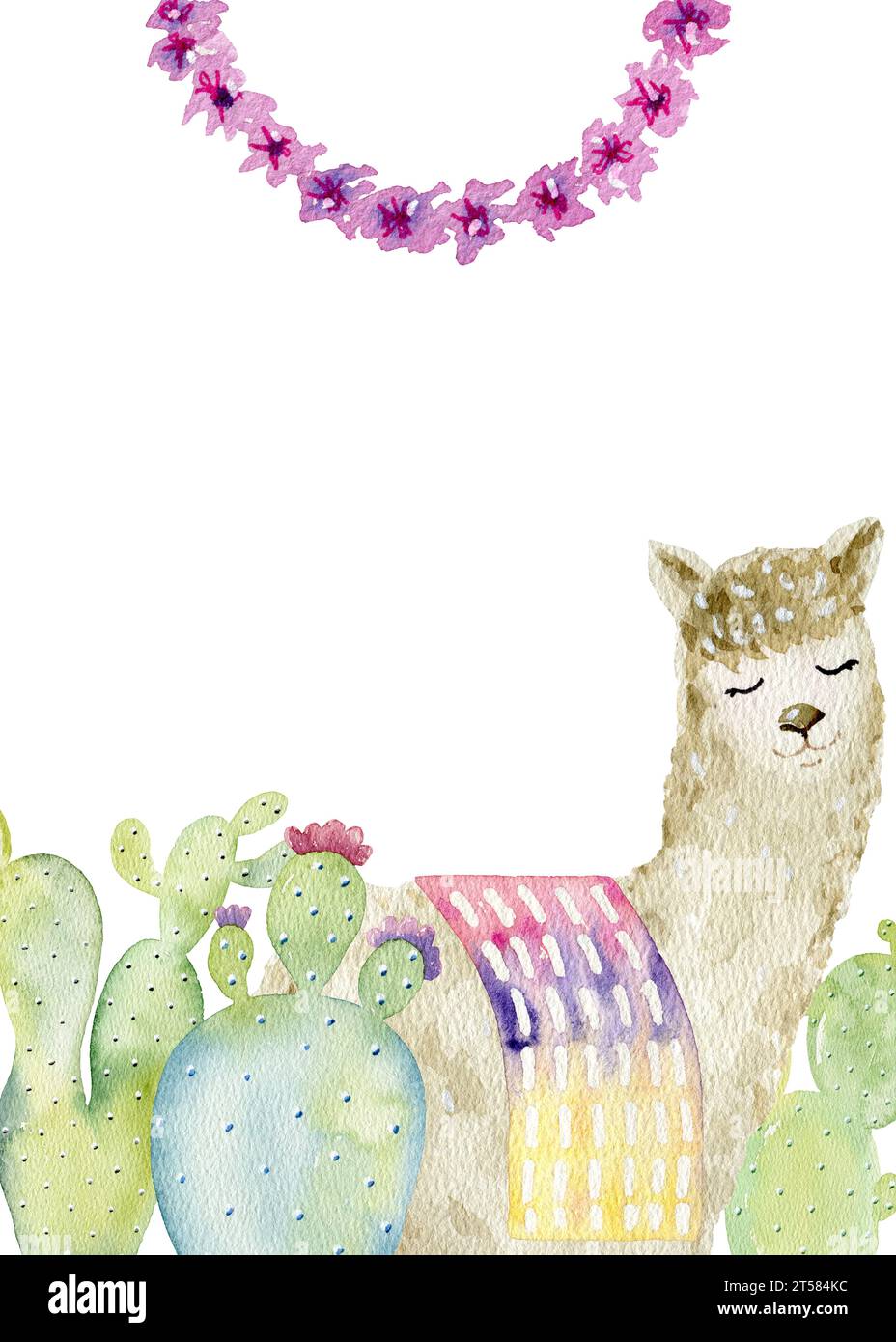 Llama card hi-res stock photography and images - Alamy