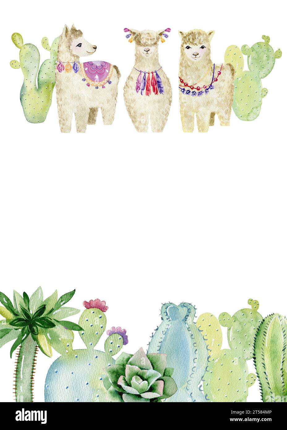 Frame with llama Stock Photo - Alamy