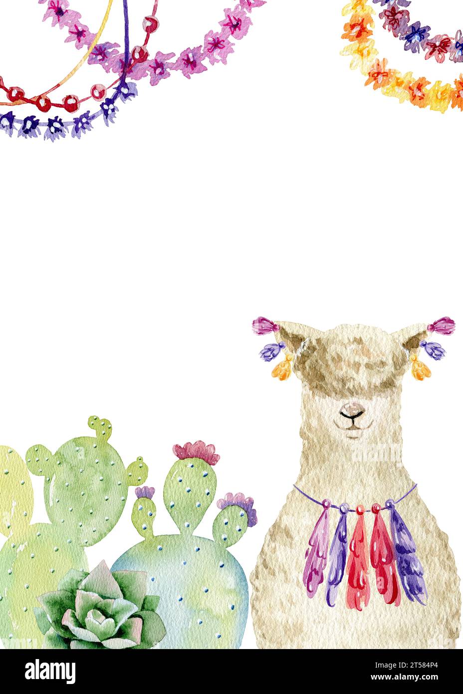 Frame with llama Stock Photo - Alamy