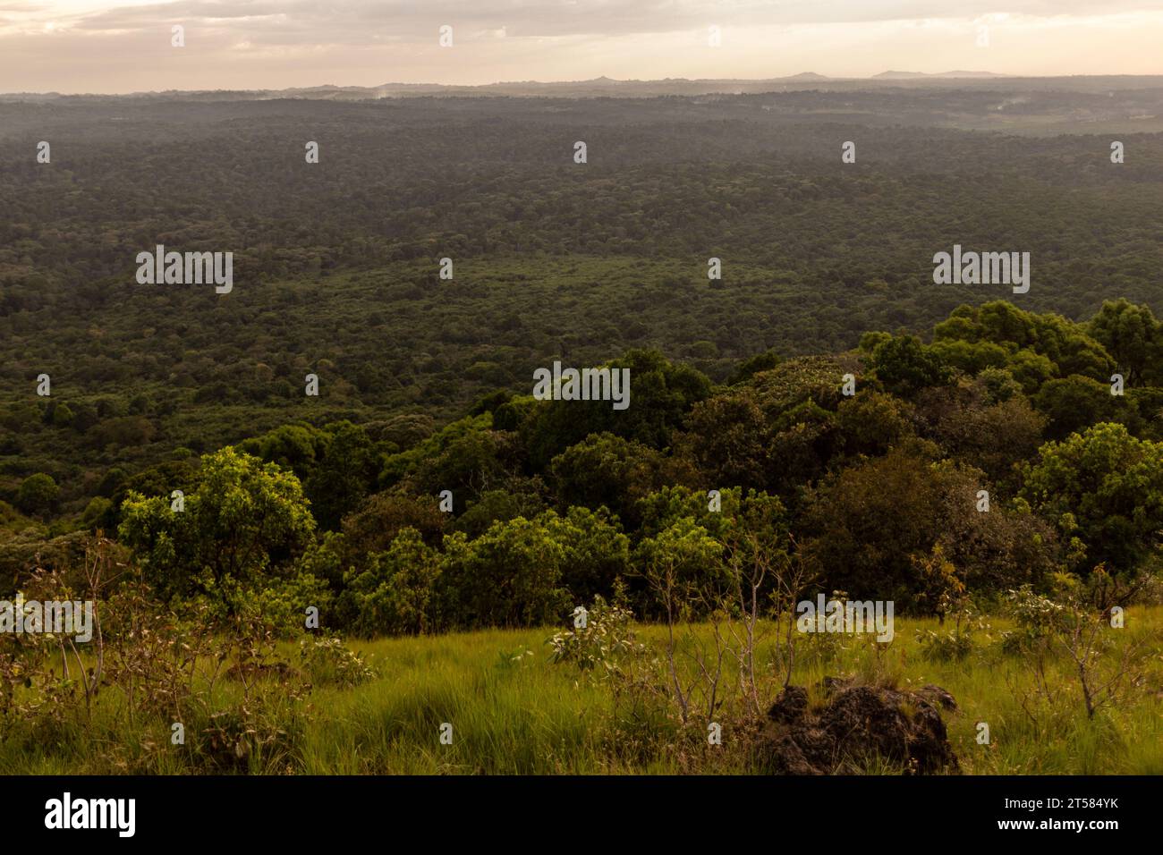 Kenya rainforest aerial hi-res stock photography and images - Alamy