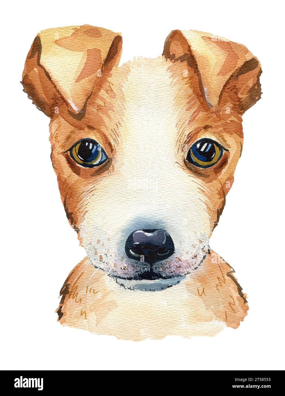 Dog watercolor illustration Stock Photo - Alamy