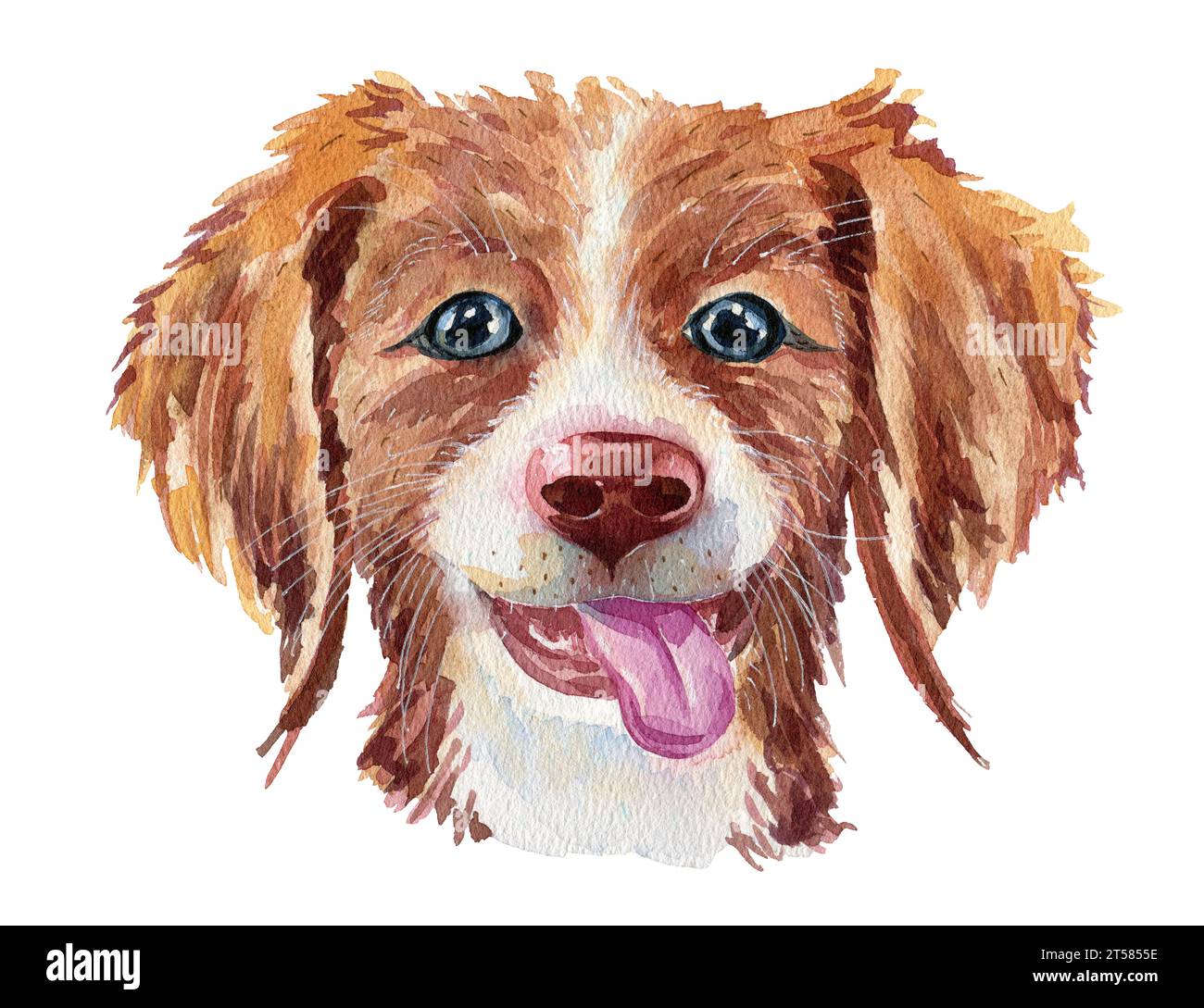 Dog watercolor illustration Stock Photo - Alamy