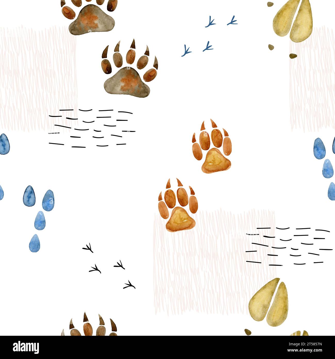 Watercolor footprint animals Stock Photo - Alamy