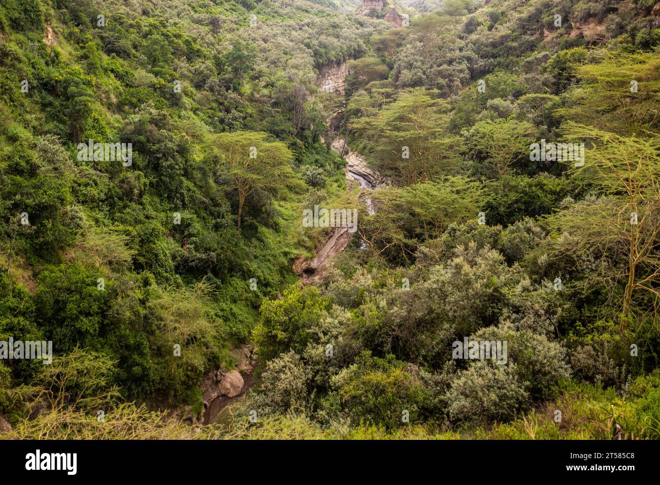 Gorge in the Hell's Gate National Park, Kenya Stock Photo - Alamy