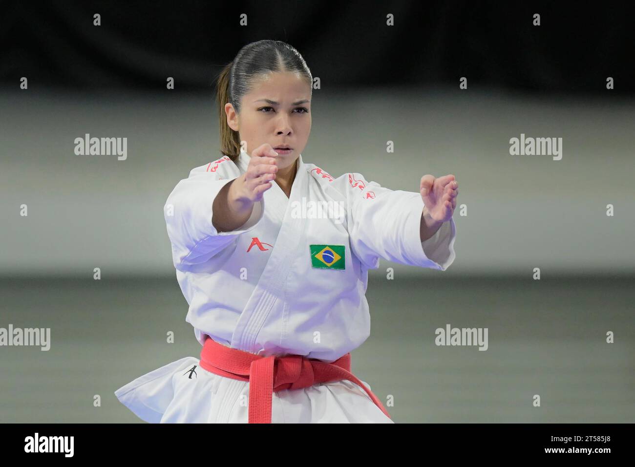 Santiago, Chile. 03rd Nov, 2023. Nicole Yonamine from the Brazilian ...