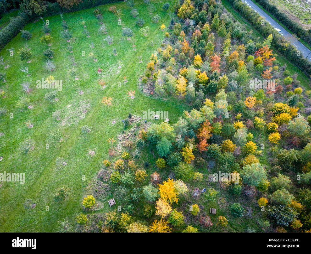 Willingham Cambridgeshire, UK. 3rd Nov, 2023. Trees turn a spectacular ...