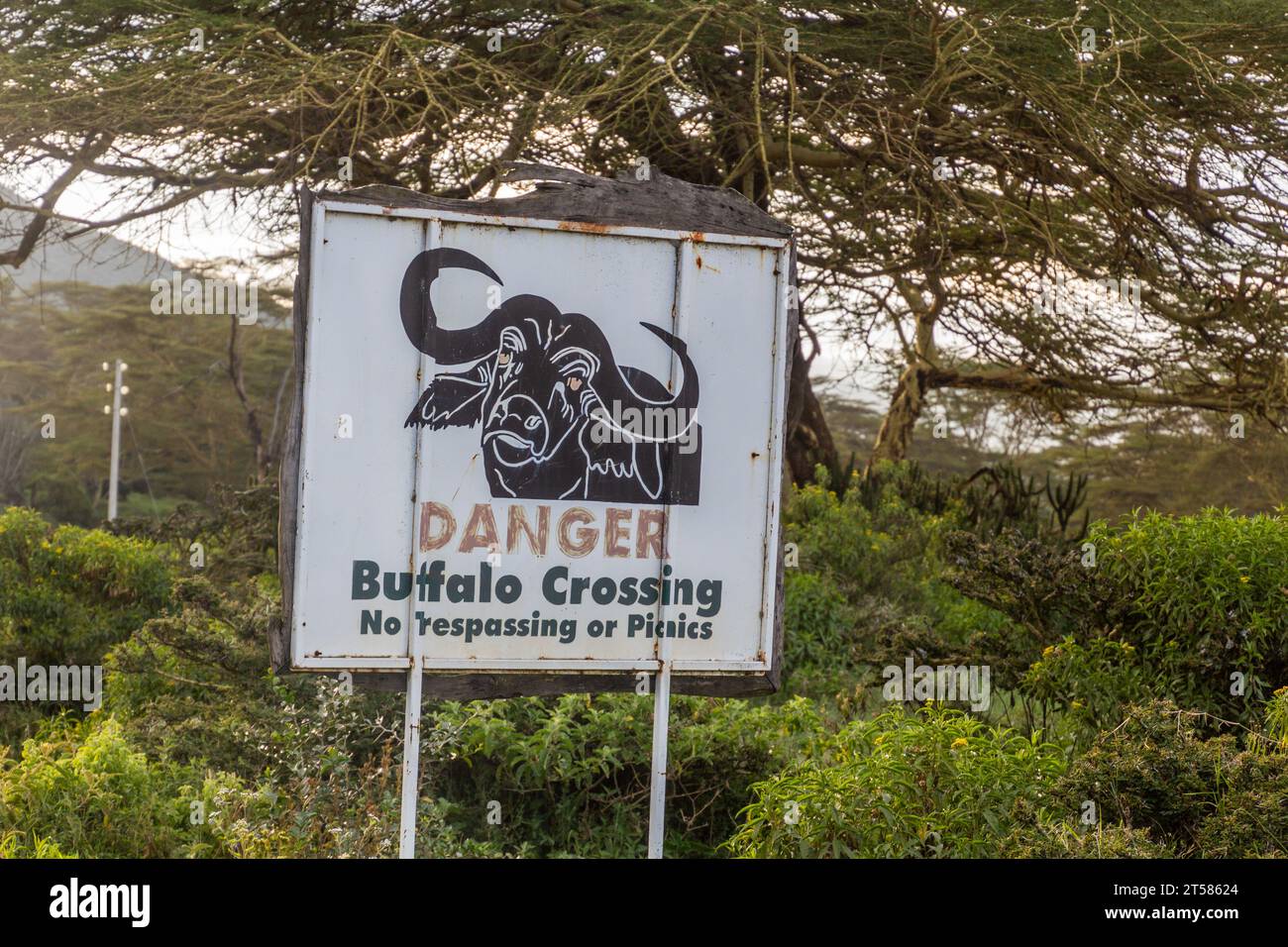 Buffalo warning sign hi-res stock photography and images - Alamy