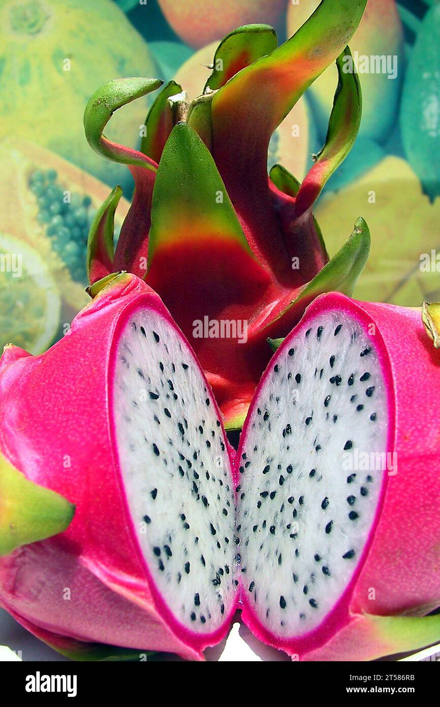 Close up of a pitaya fruit or dragon fruit Stock Photo - Alamy