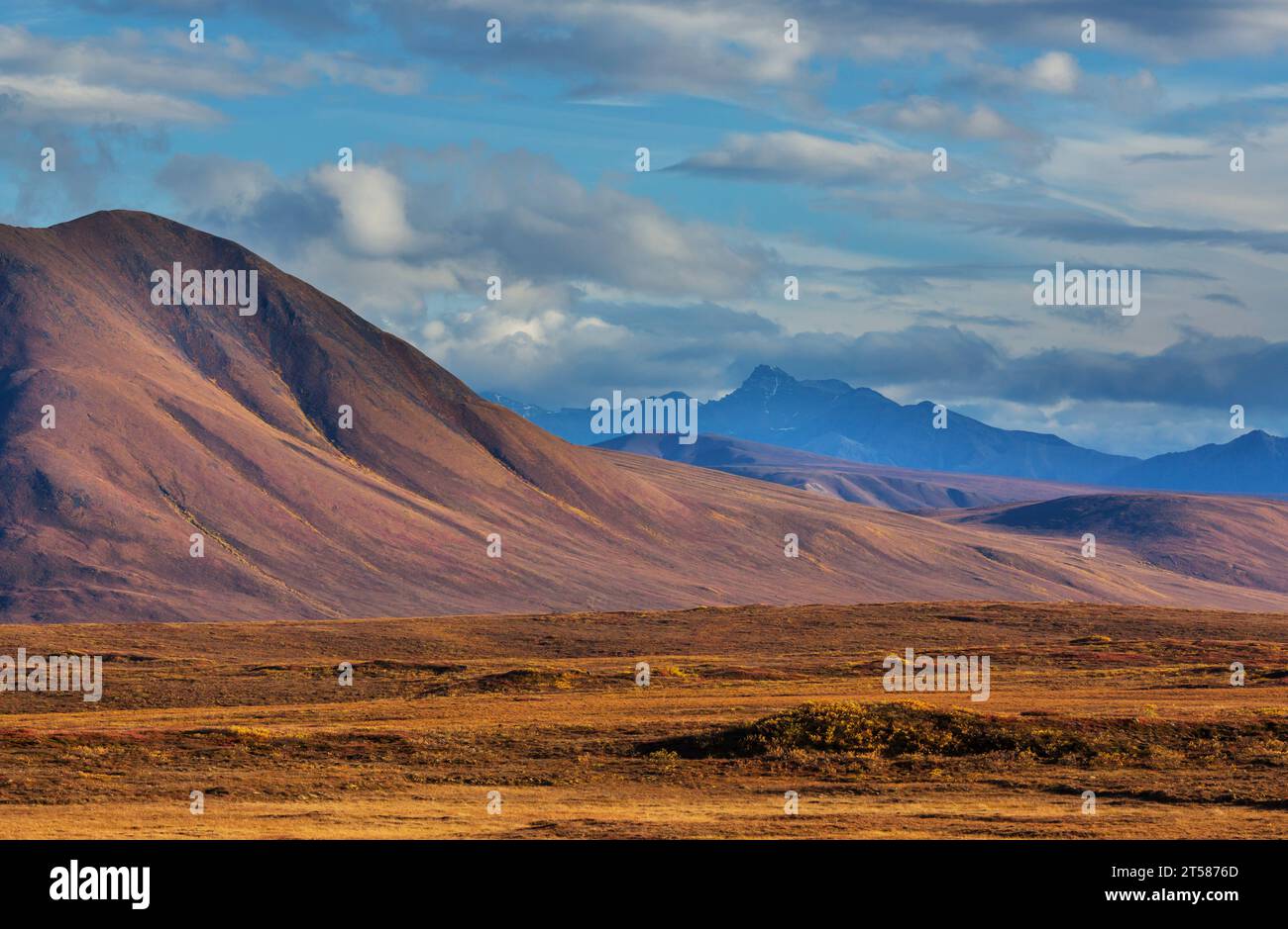 Tundra landscapes above Arctic circle in autumn season. Beautiful ...