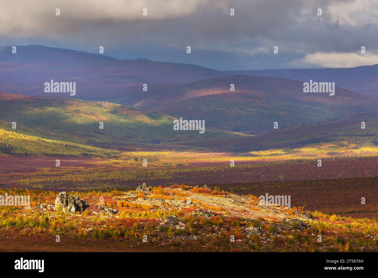 Tundra landscapes above Arctic circle in autumn season. Beautiful ...