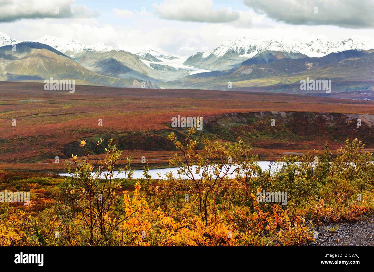 Tundra landscapes above Arctic circle in autumn season. Beautiful ...