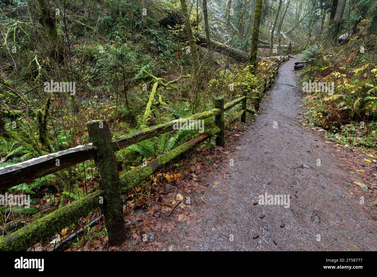 Lower macleay trail hi-res stock photography and images - Alamy