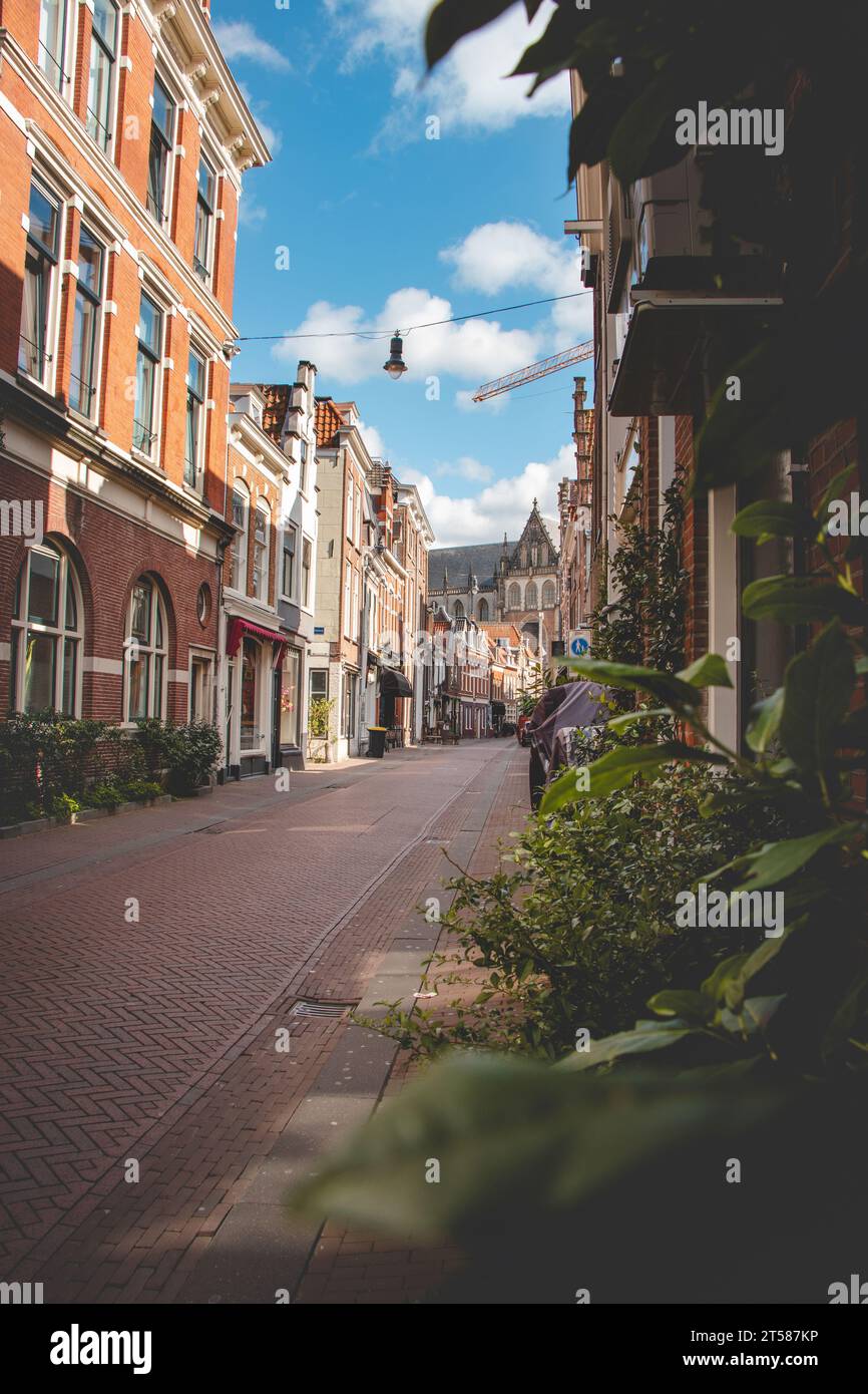 Typical Dutch street with a checkered road and colourful house walls in ...