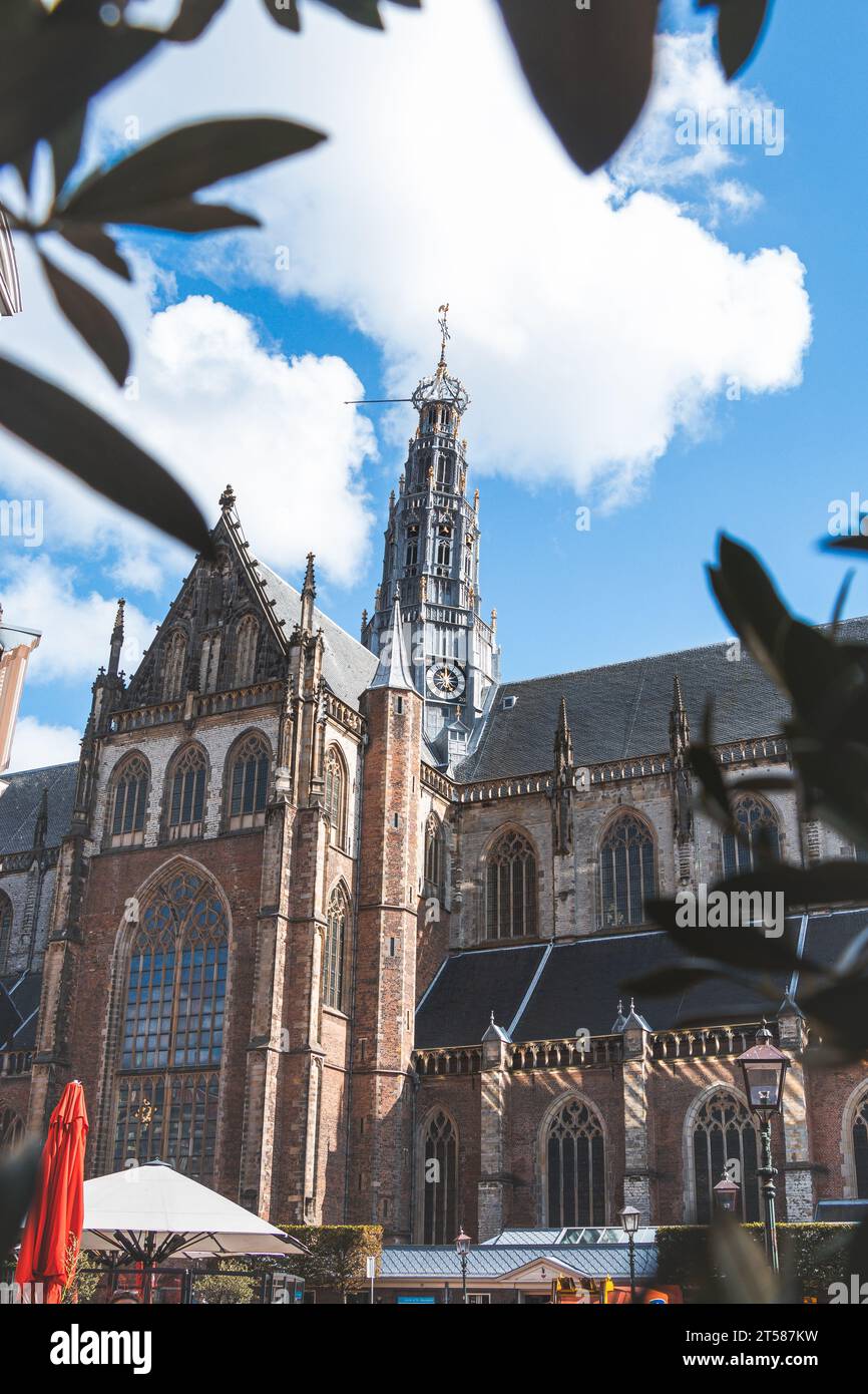 Haarlem Cathedral in the city centre during daylight hours in the west ...