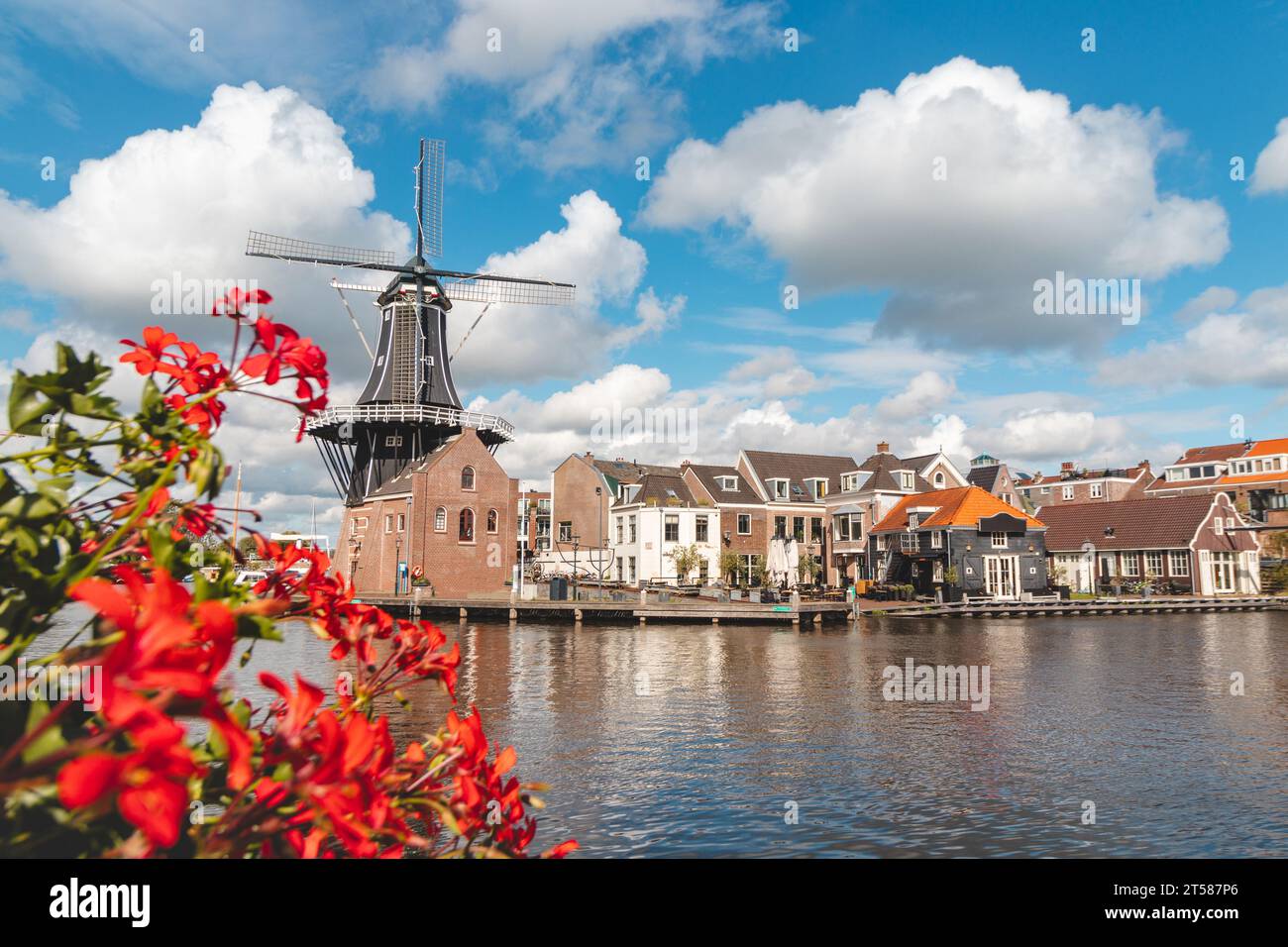 View of Haarlem city centre with the illuminated historic mill and ...