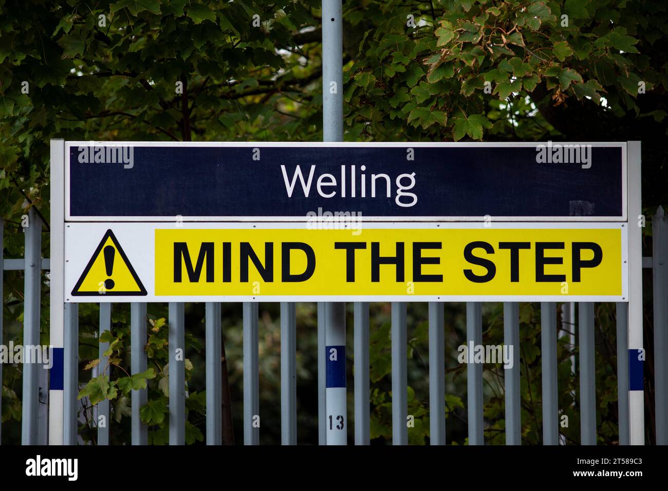 Welling railway station is situated in Welling, part of the London ...