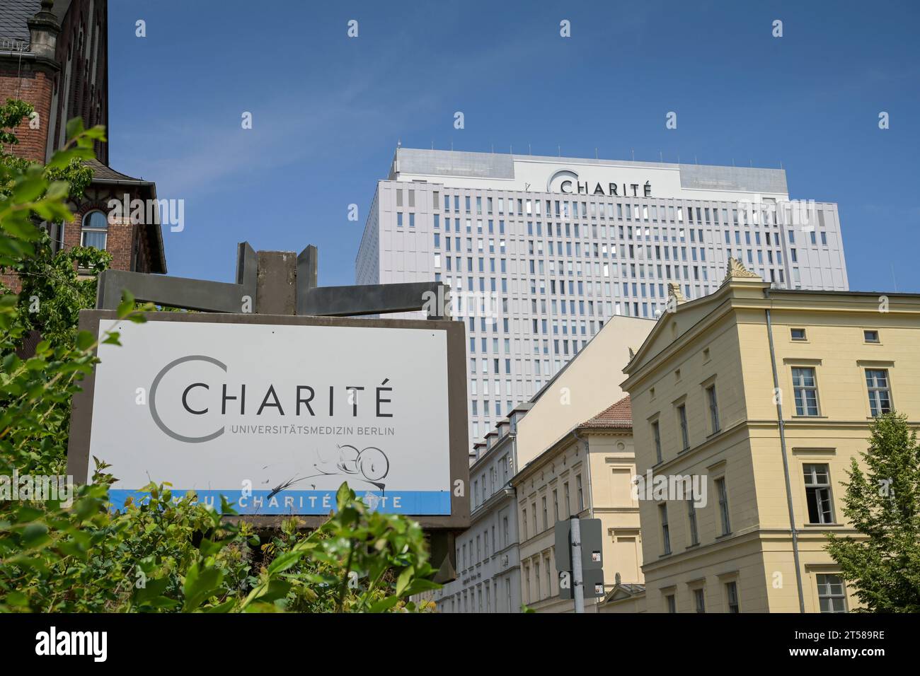 Bettenhochhaus der Charite, Luisenstraße, Mitte, Berlin, Deutschland *** Charité high-rise ward ...