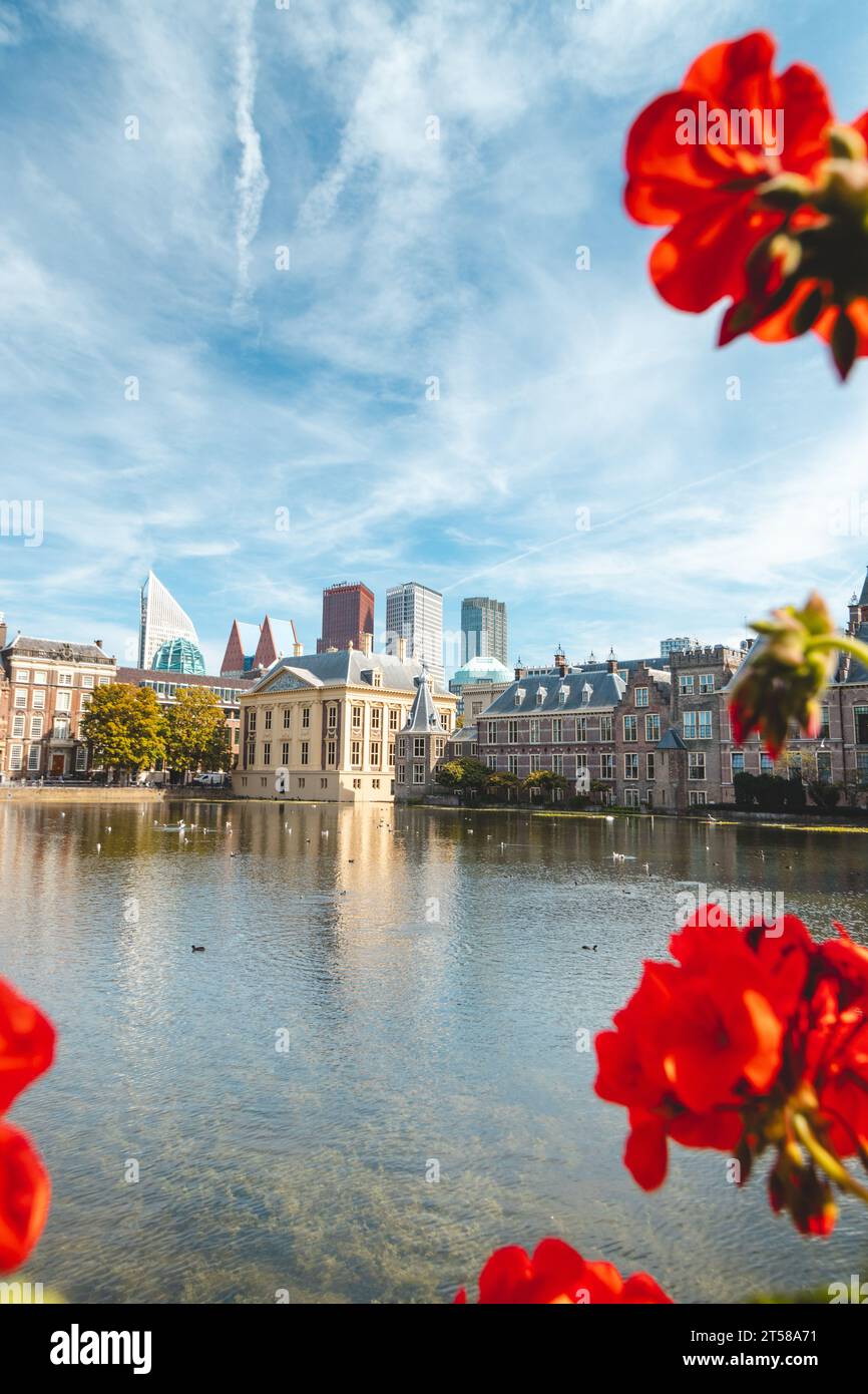 View of the tallest buildings of Den Haag on a sunny day through the ...