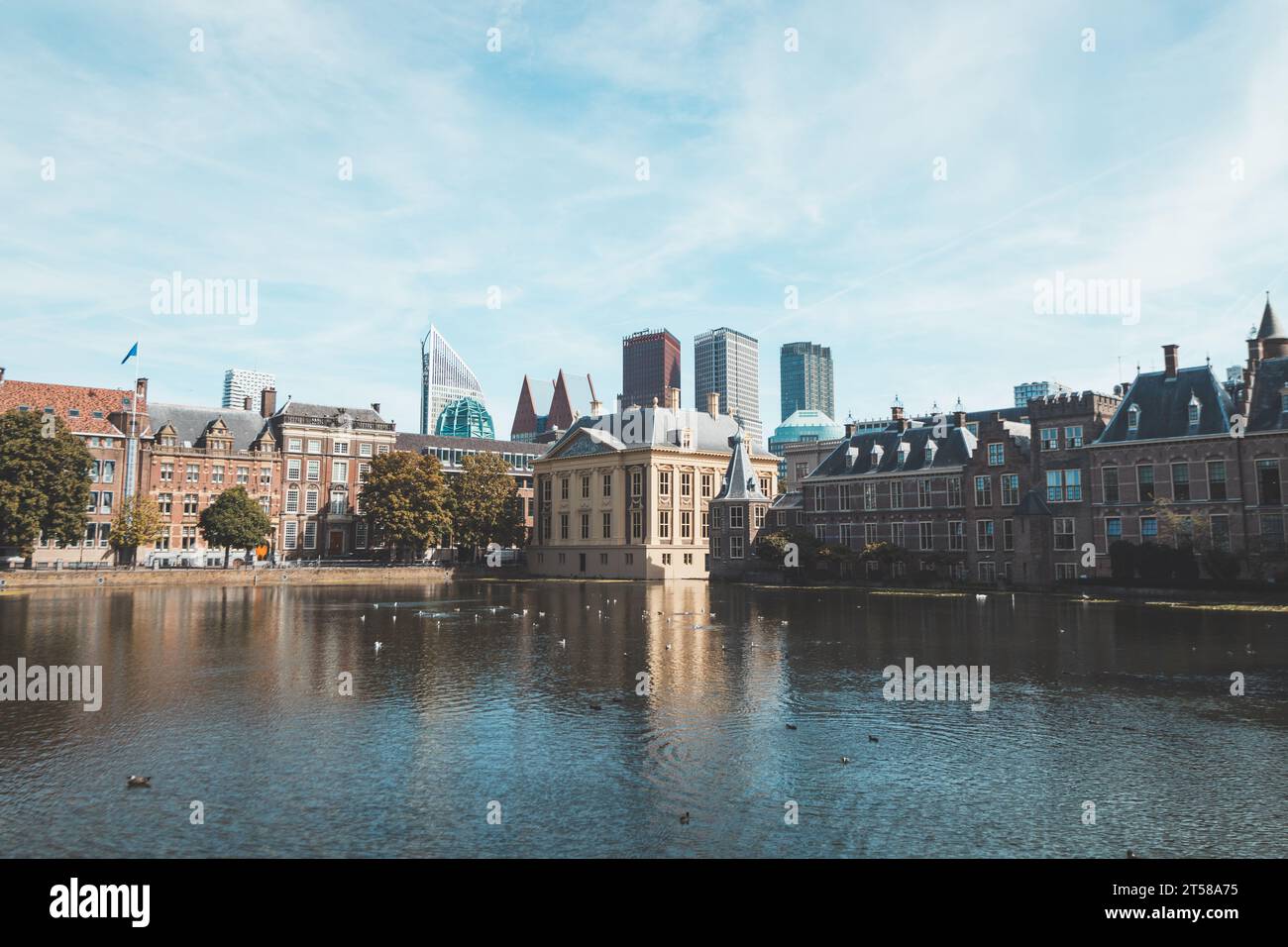 View of the tallest buildings of Den Haag on a sunny day through the ...