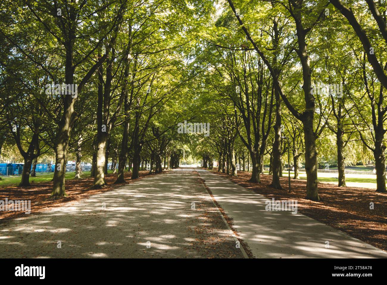 Dutch freeway system hi-res stock photography and images - Alamy