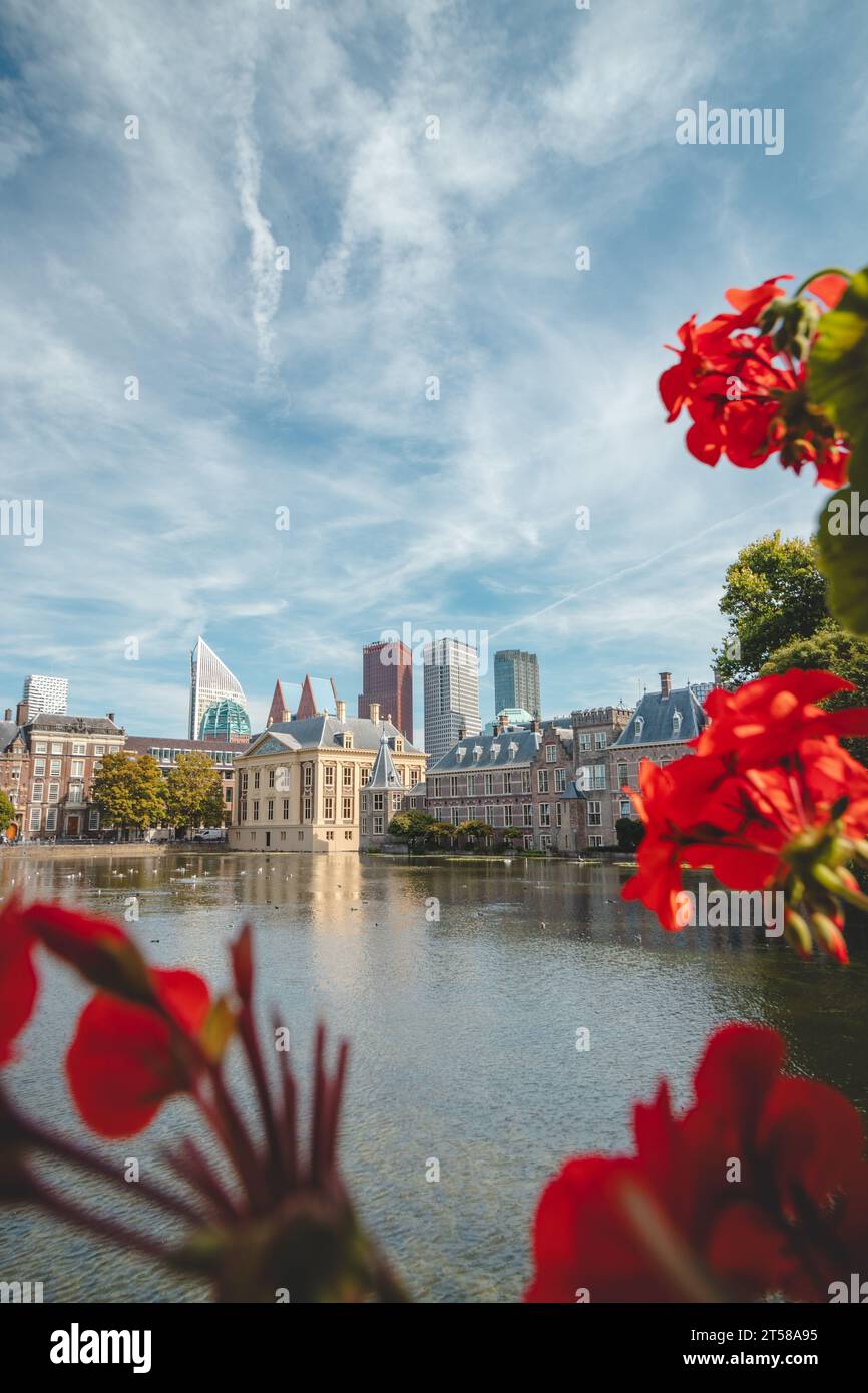 View of the tallest buildings of Den Haag on a sunny day through the ...