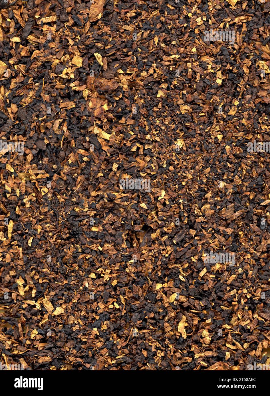 1001480 hi-res stock photography and images - Alamy