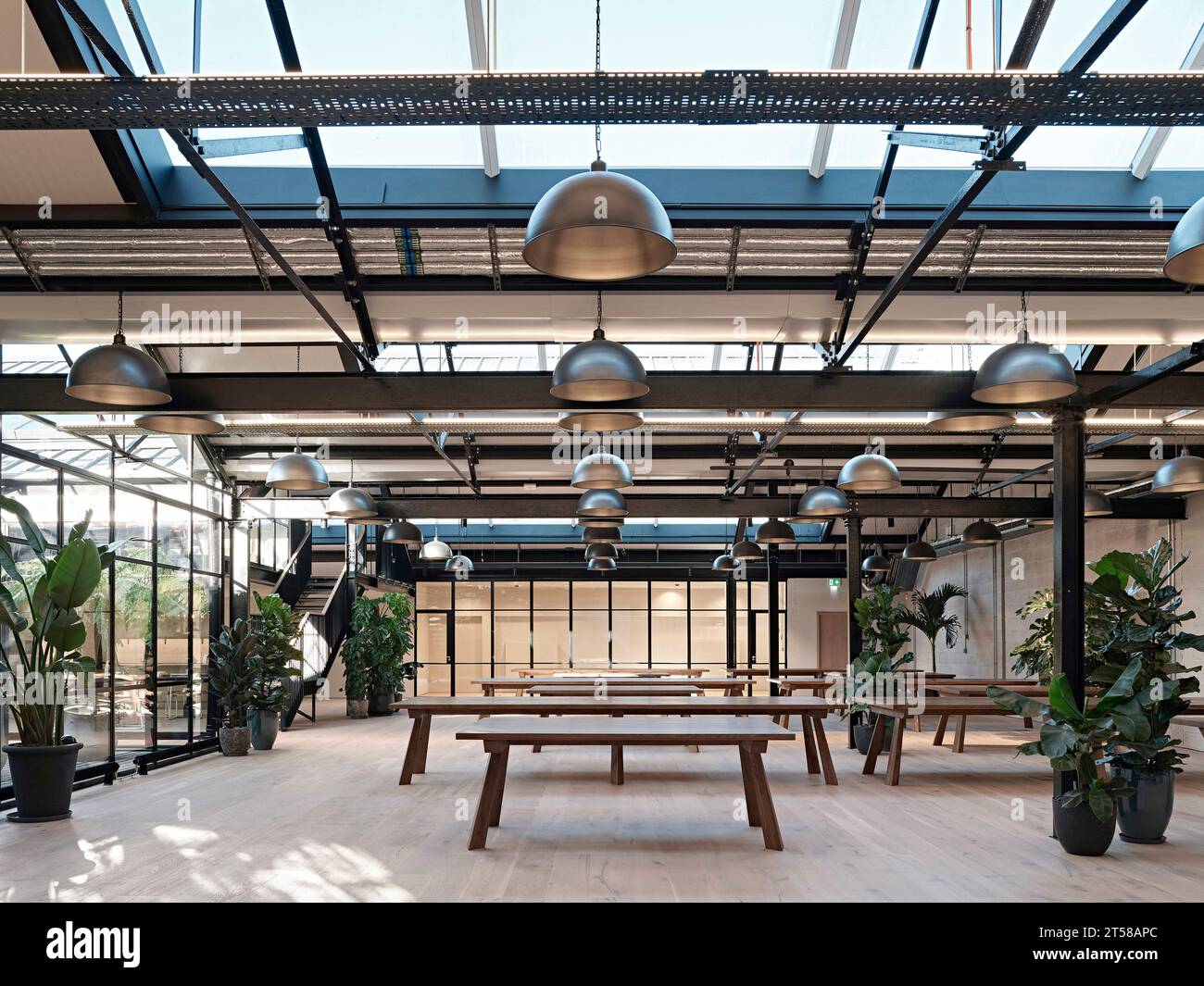 Communal space with skylights. Langton Rd, London, United Kingdom ...