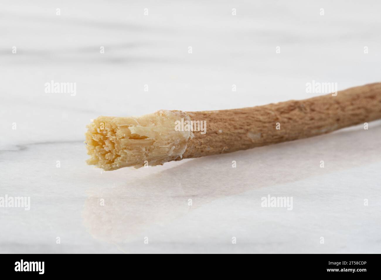 Siwak or miswak stick, tree root for ecological tooth brushing Stock ...