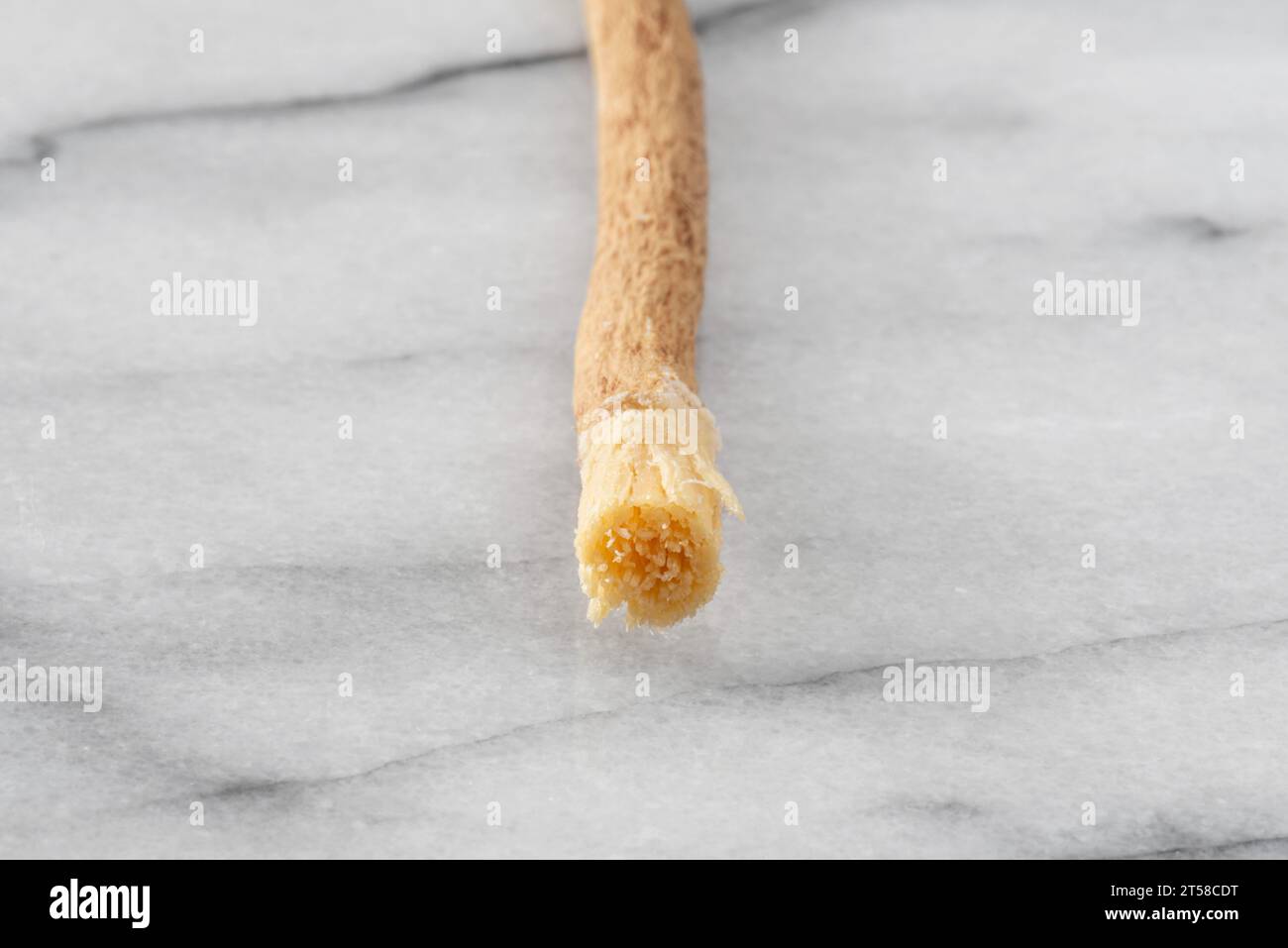 Siwak or miswak stick, tree root for ecological tooth brushing Stock ...