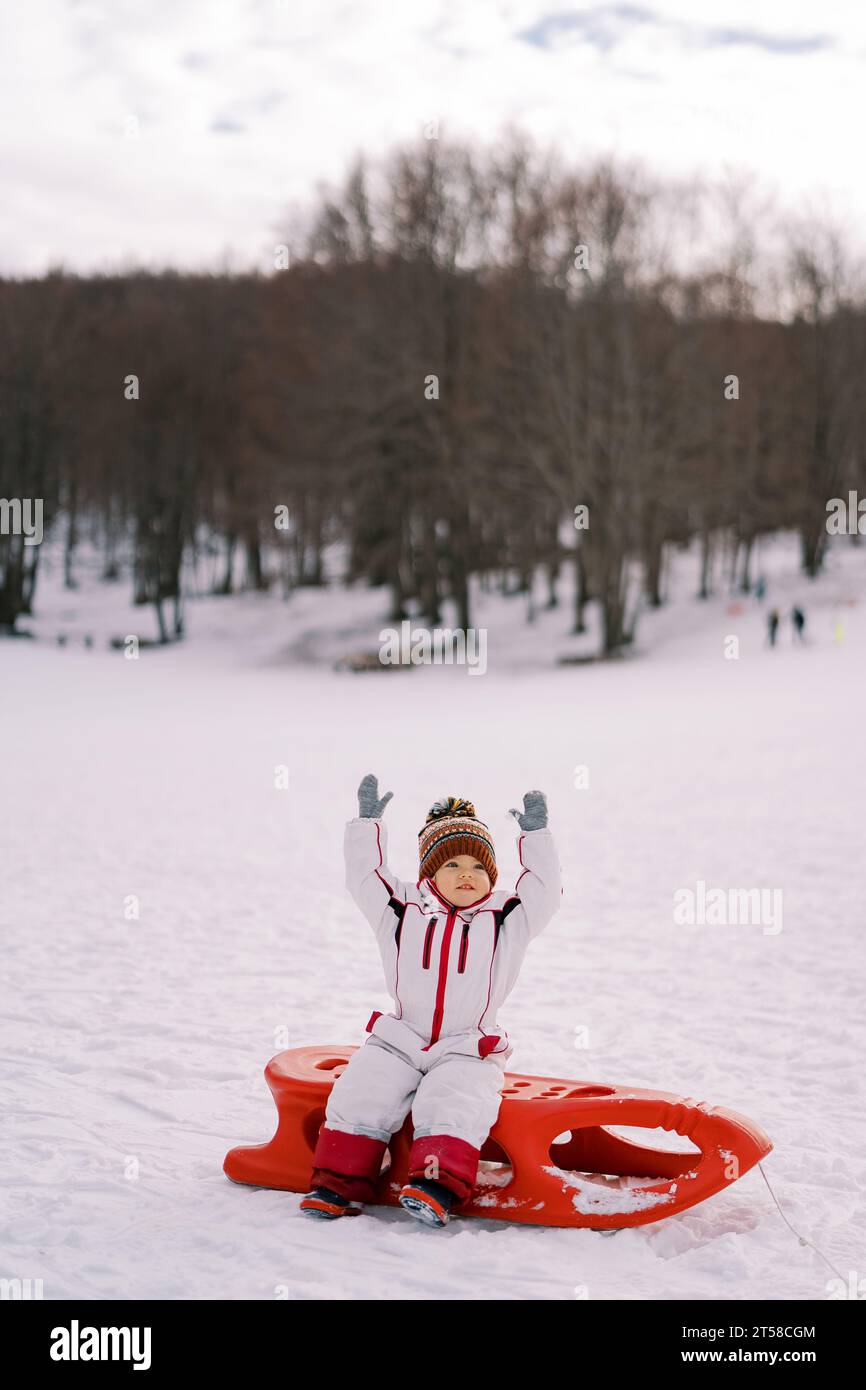 Little girl sits with her hands up on a sled on a snowy plain Stock ...
