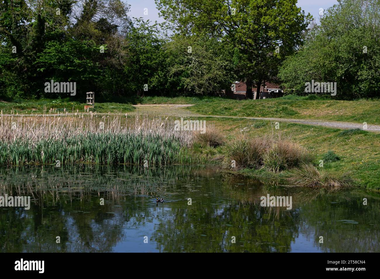 Crookham hi-res stock photography and images - Alamy