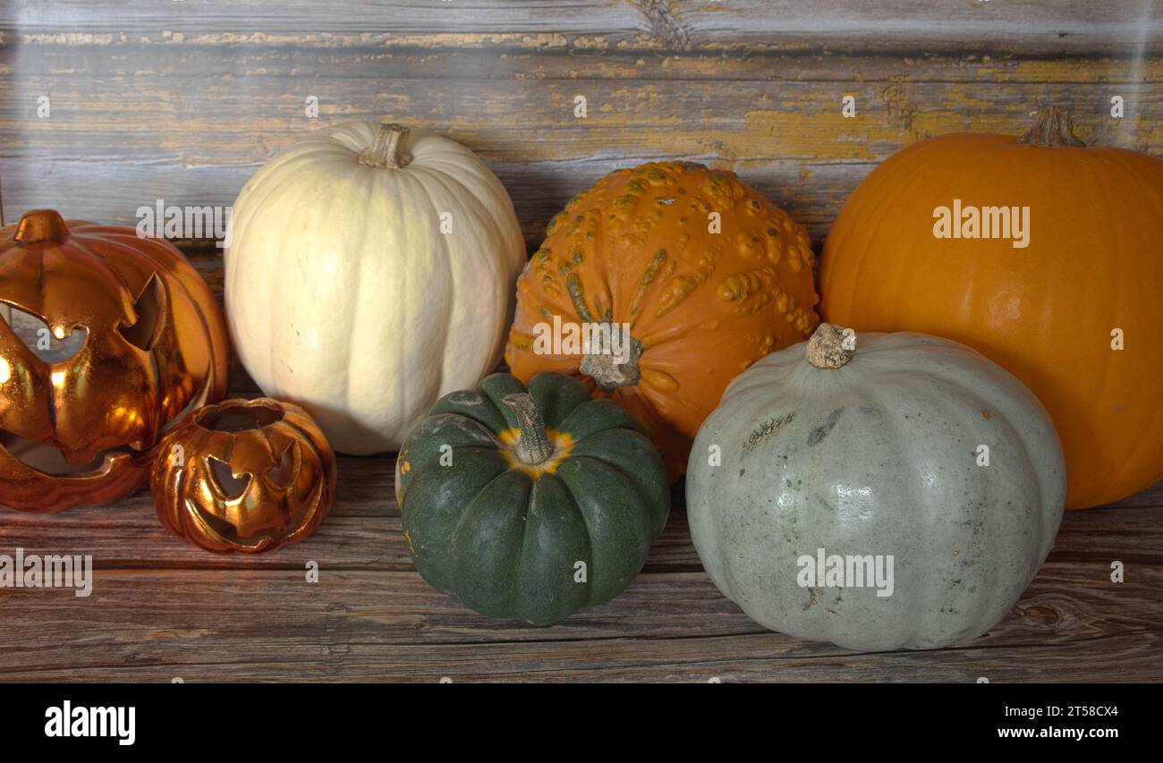 selection of different pumpkins ghost pumpkin oran d gnarly Stock Photo ...
