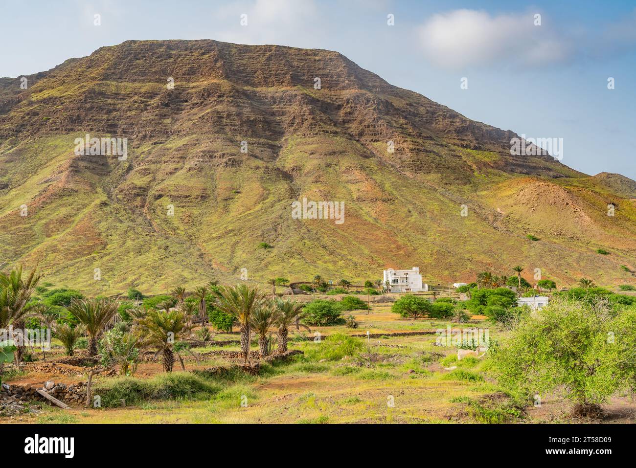 Mountain range of Sao Vicente with trees and green grass in background ...