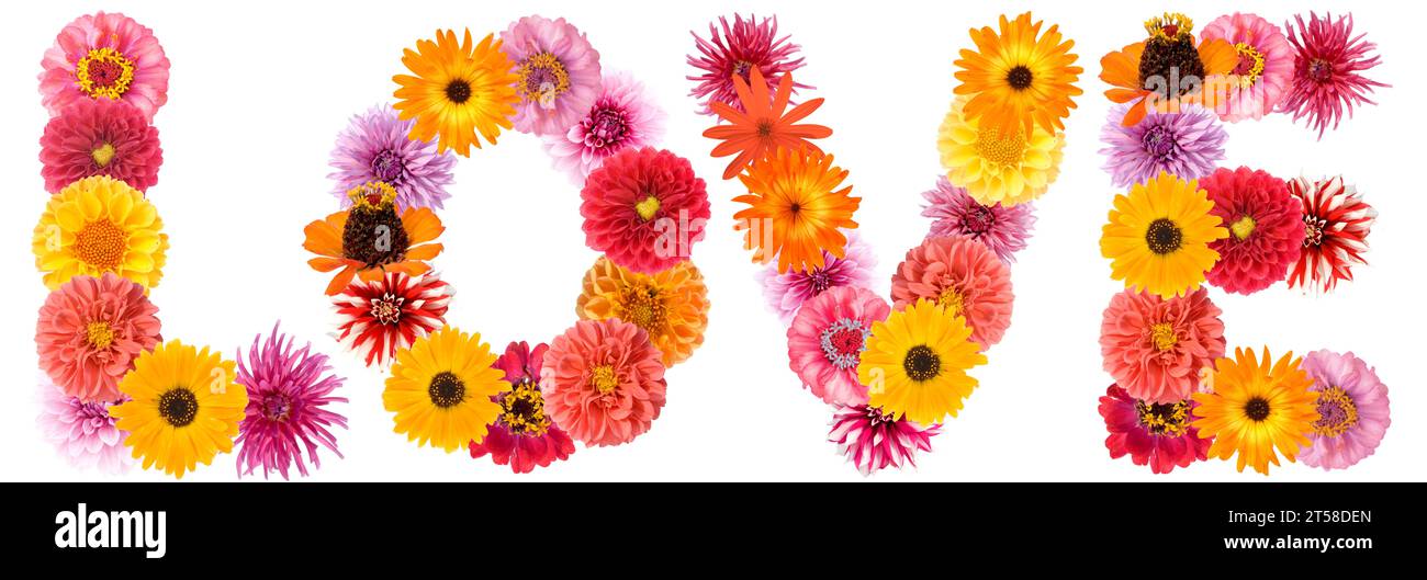 Word spring made pink Cut Out Stock Images & Pictures - Alamy